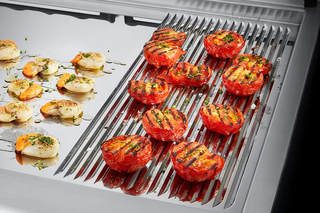 Frytop - Roc 700 - Modular